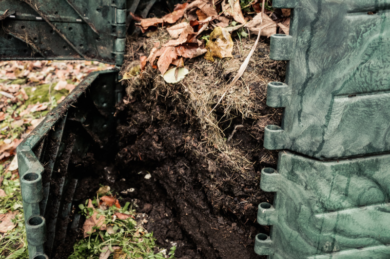 Ako kompostovať listy zo stromov v kompostéri - Zemito.sk
